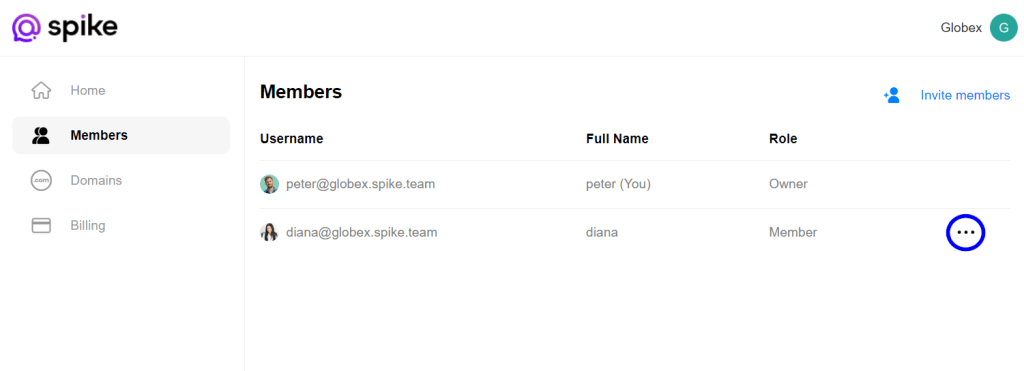 How to Change Team Member Roles | Spike Help Center