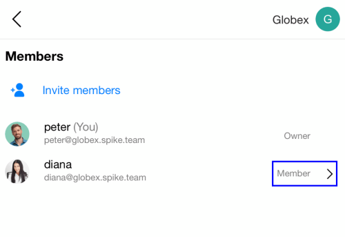How to Change Team Member Roles | Spike Help Center