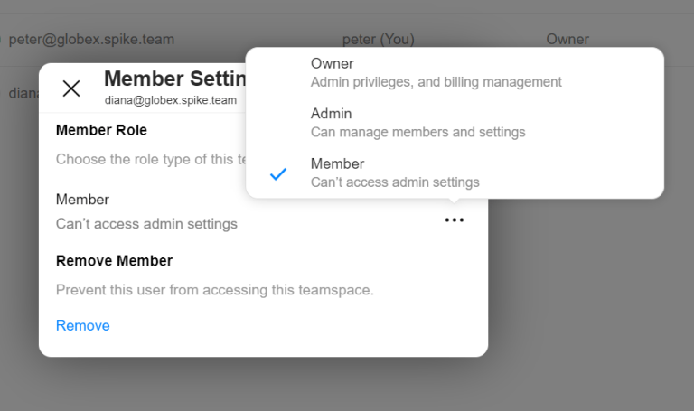 How to Change Team Member Roles | Spike Help Center